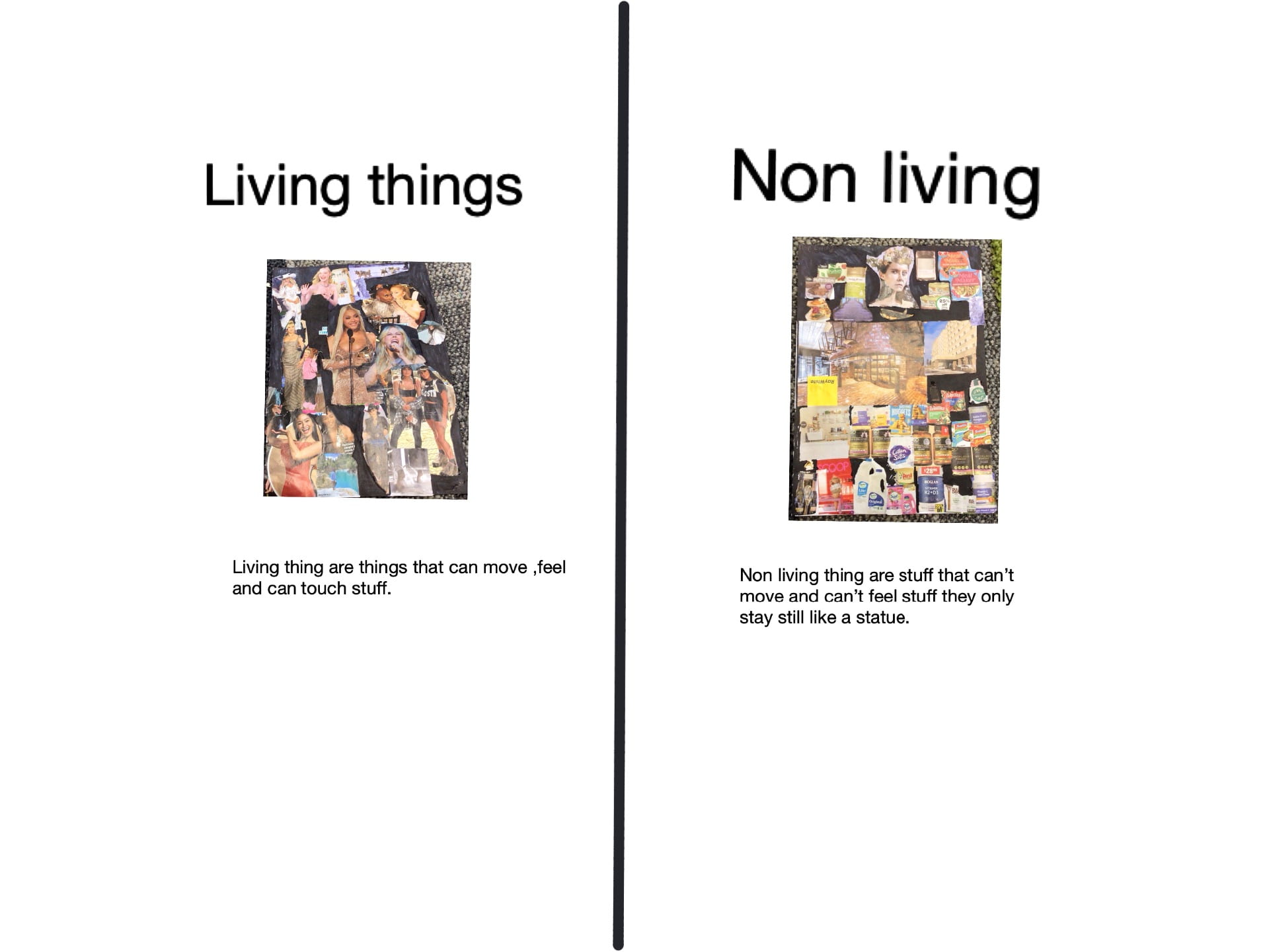 Non living thing and living things. – The Manaiakalani Network Blogging